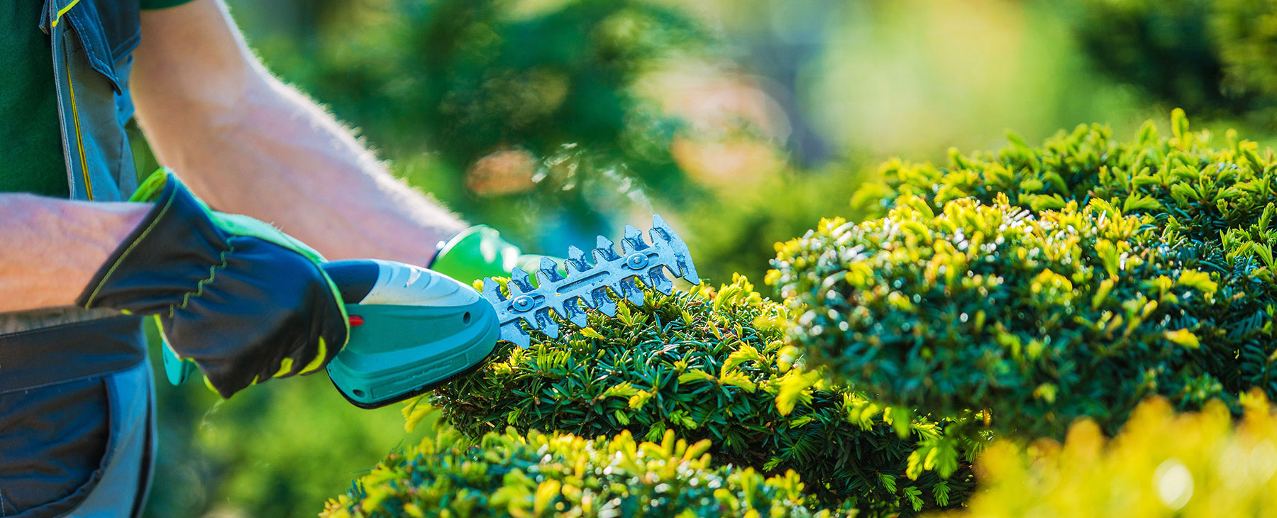 Green Dimensions Arabia